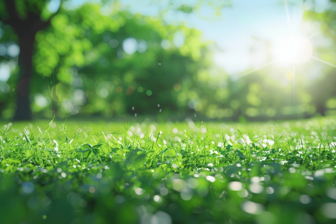 Fun Ideas for Toastmasters Table Topics Questions